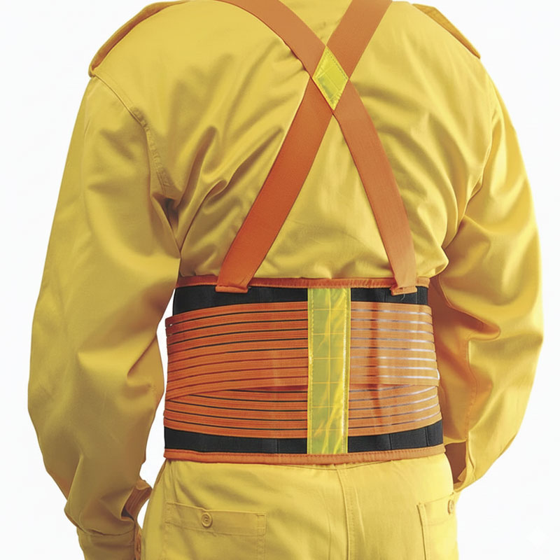 Proguard Lifting Support Belt / Back Support - Eternity Safe Mode
